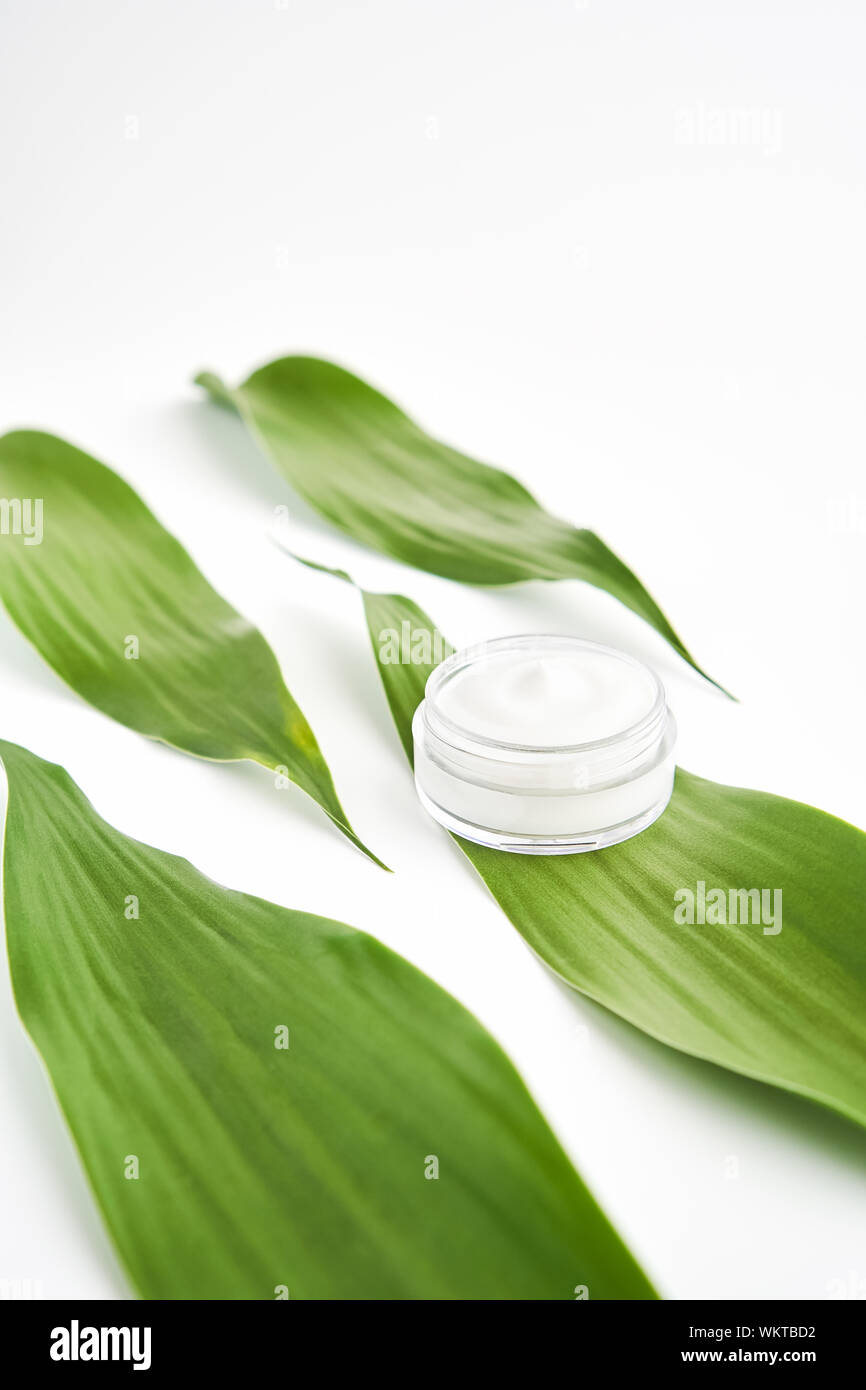 Cream leaves hi-res stock photography and images - Alamy