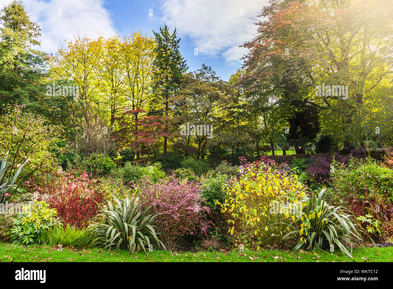 Autumn landscape. Colourful autumn trees with beautiful leaves. English ...