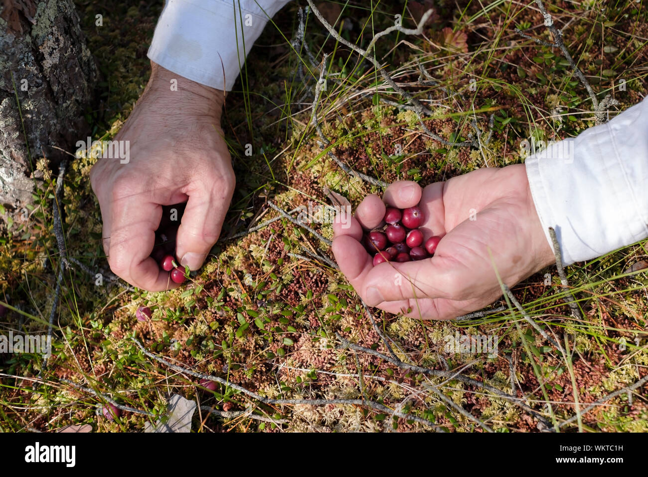 Close up male hands pick hi-res stock photography and images - Alamy