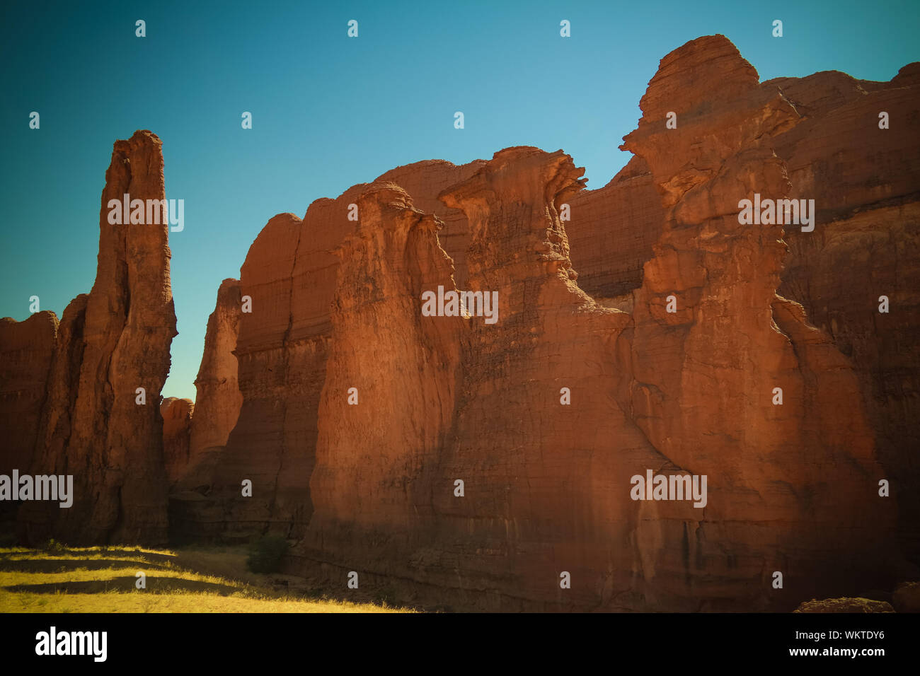 Abstract Rock formation at plateau Ennedi aka stone forest , Chad Stock ...