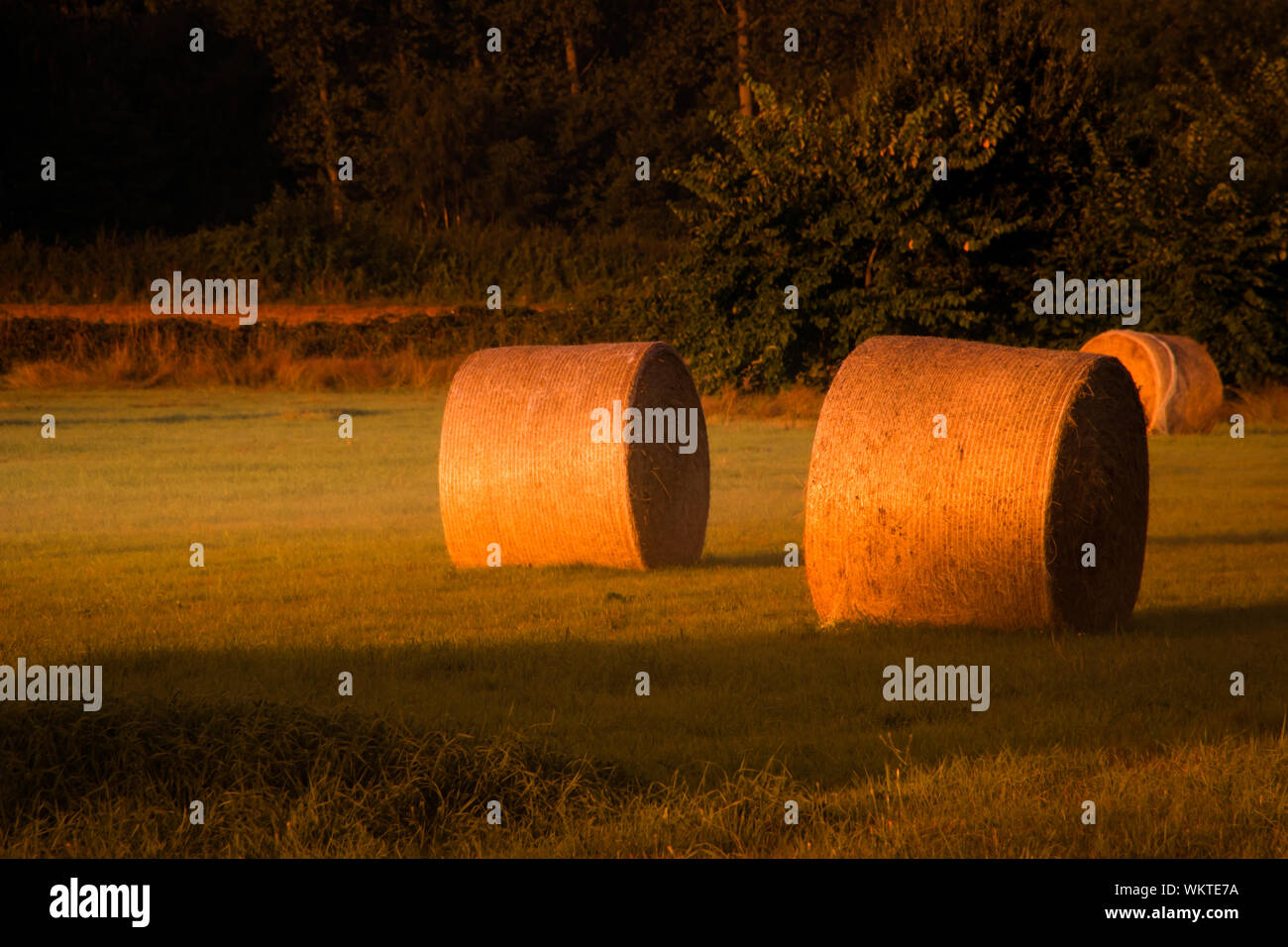 Hay bale night hi-res stock photography and images - Alamy