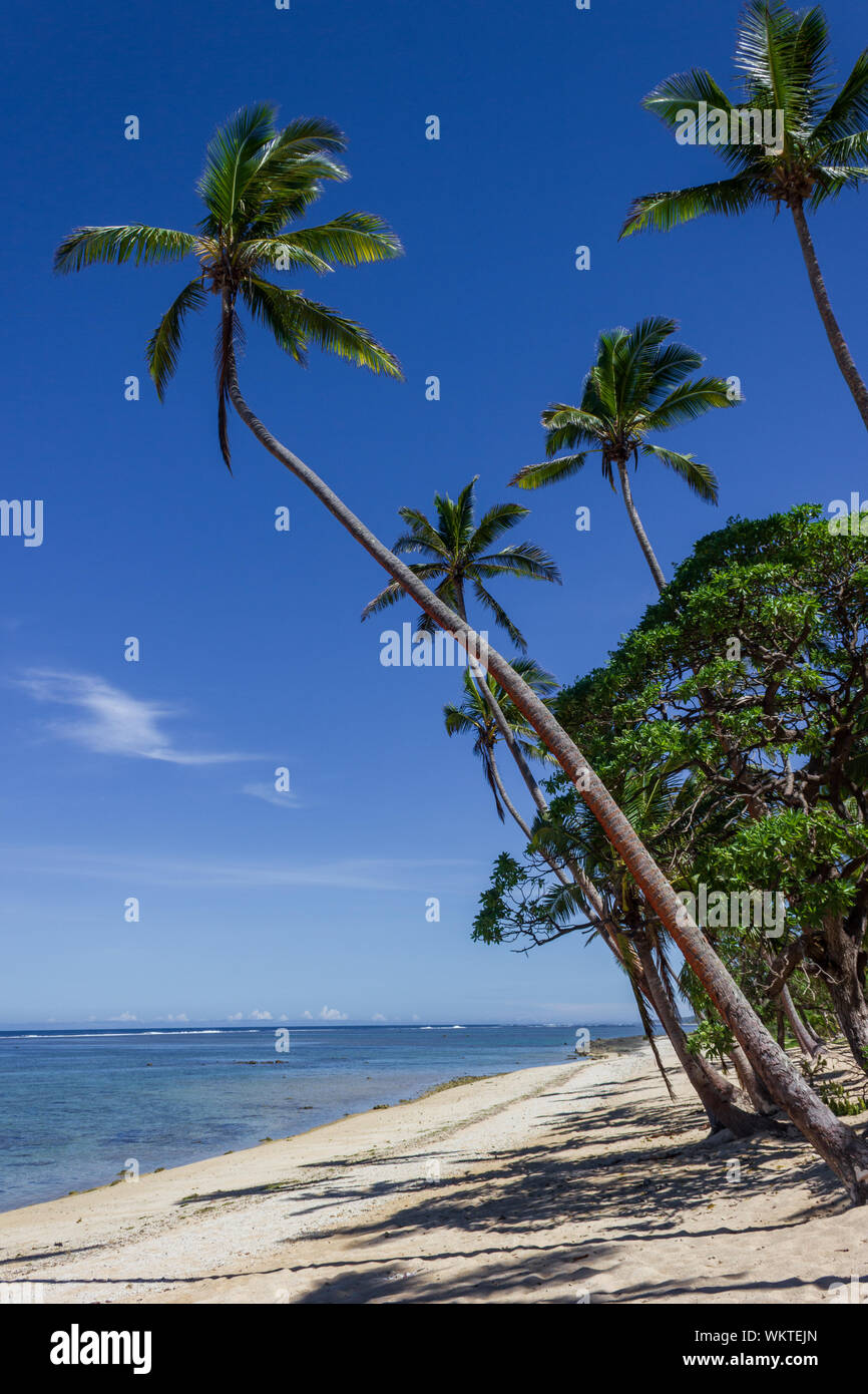 Beach on the tropical island clear blue water. Dravuni Island, Fiji ...