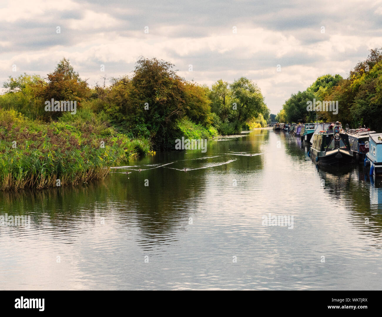 River Lea Houseboat High Resolution Stock Photography and Images - Alamy
