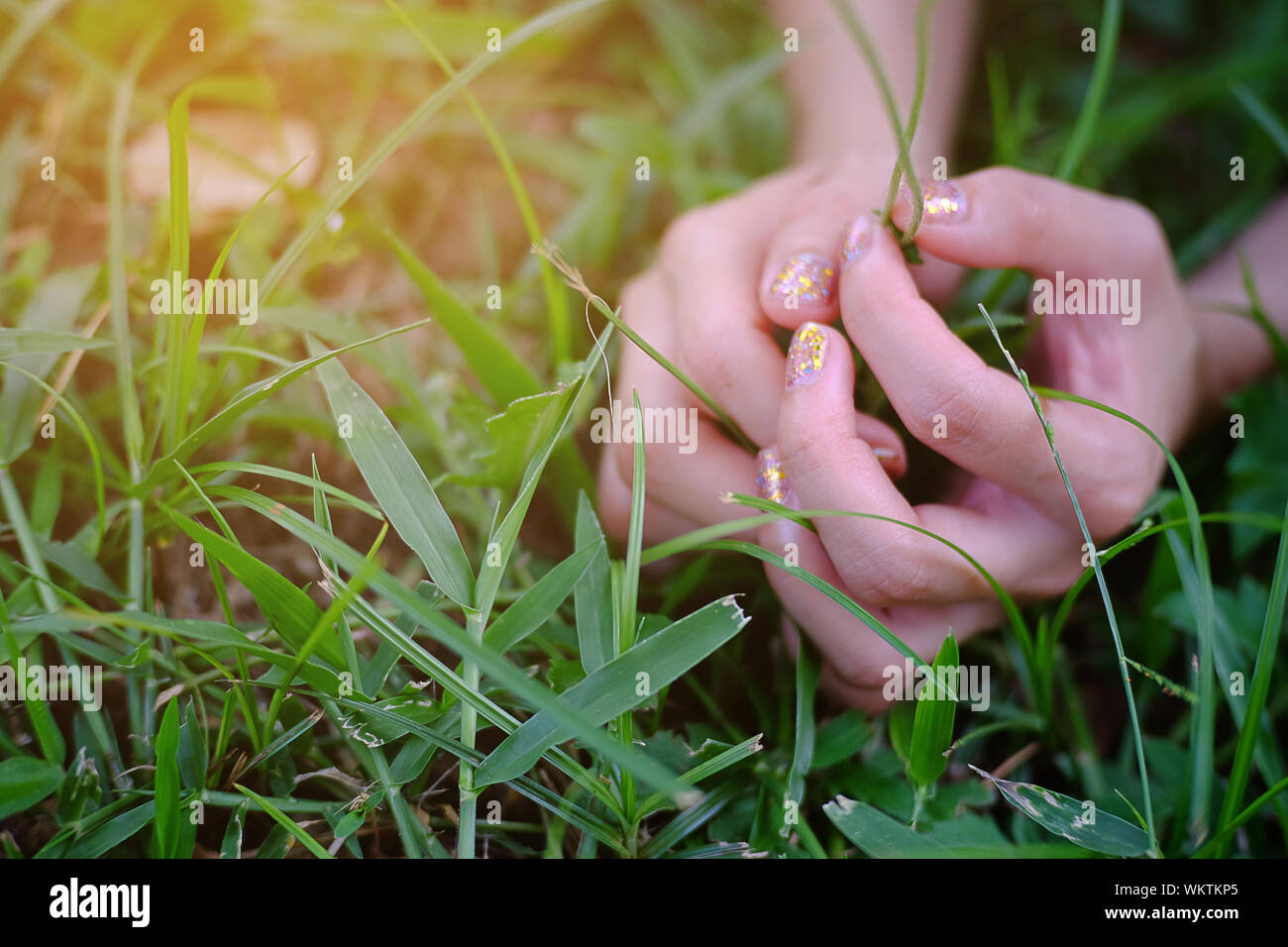 Grass in hand hi-res stock photography and images - Alamy