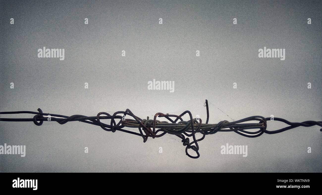 Tangled barbed wire hi-res stock photography and images - Alamy