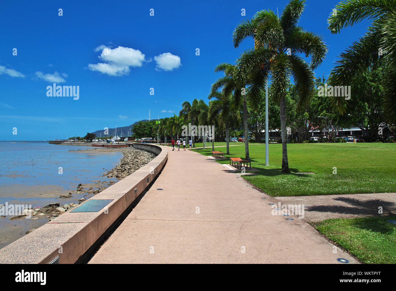 Cairns, Queensland / Australia - 03 Jan 2019: Marina in Cairns city ...