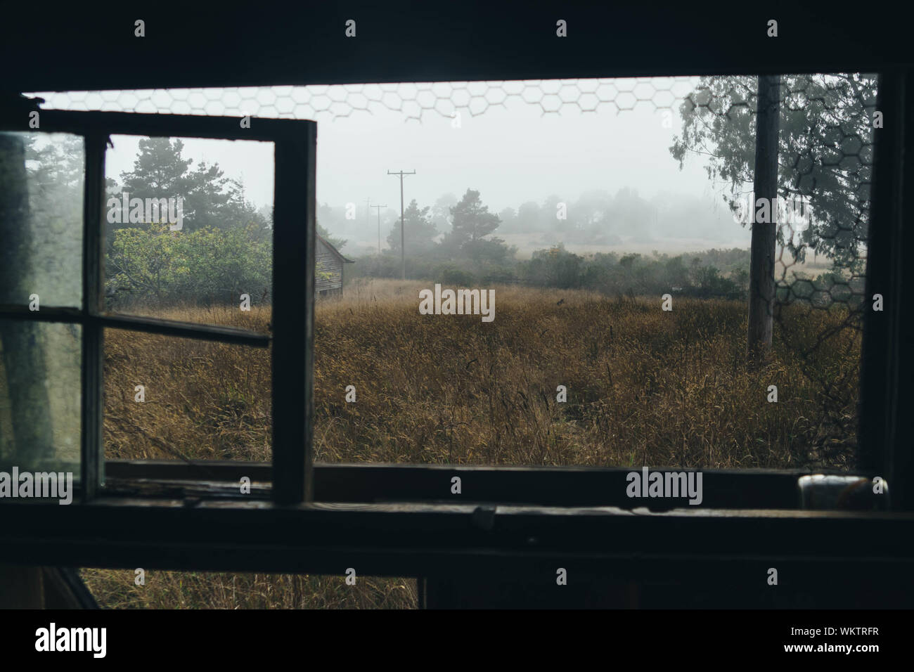 Looking Through Broken Window High Resolution Stock Photography and ...