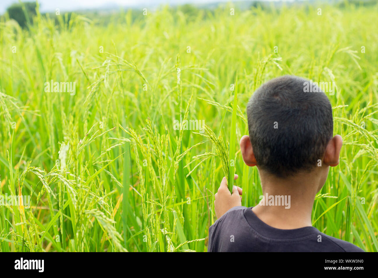 Rice boy hi-res stock photography and images - Alamy