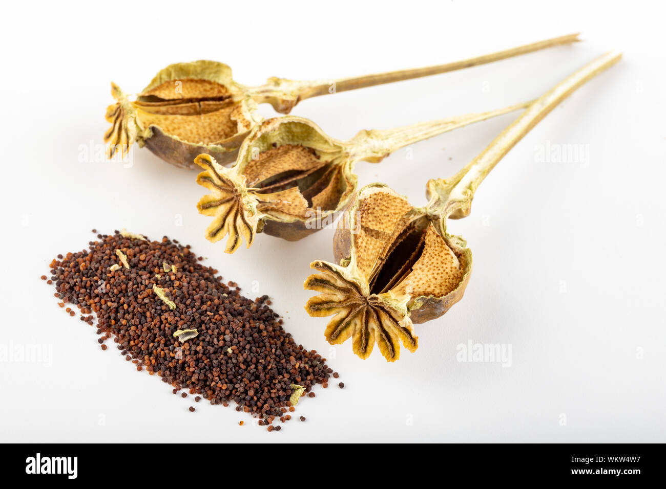Cut dry poppy heads and poppy seeds. Poppy seed for homemade baking ...