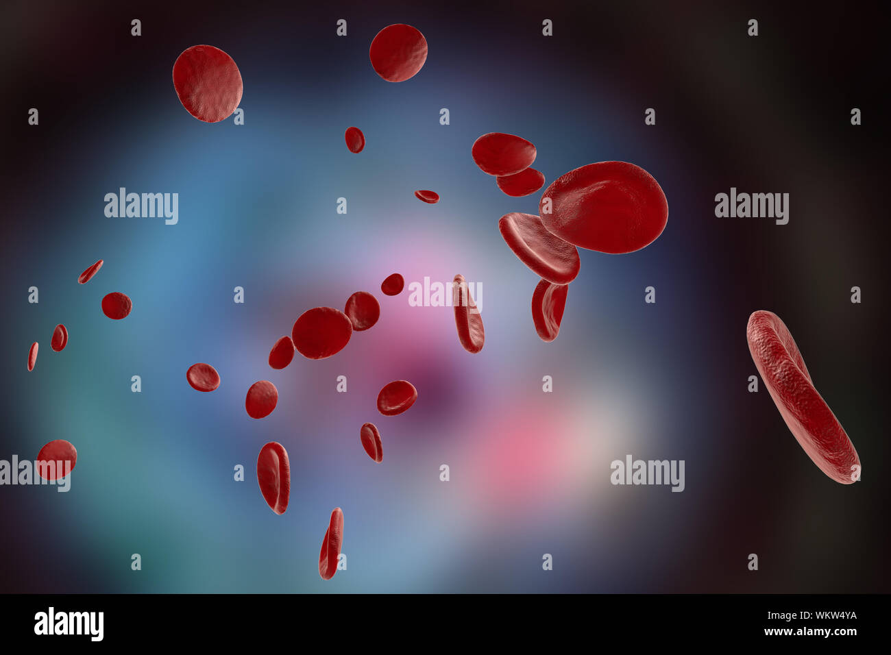 Healthy human red bloodcells in close up 3d illustration Stock Photo ...