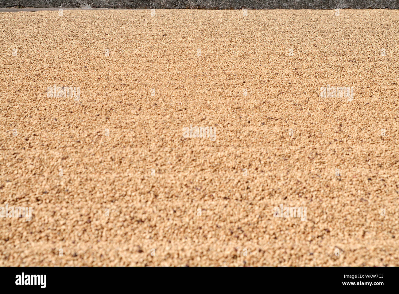 Grain drying hi-res stock photography and images - Alamy
