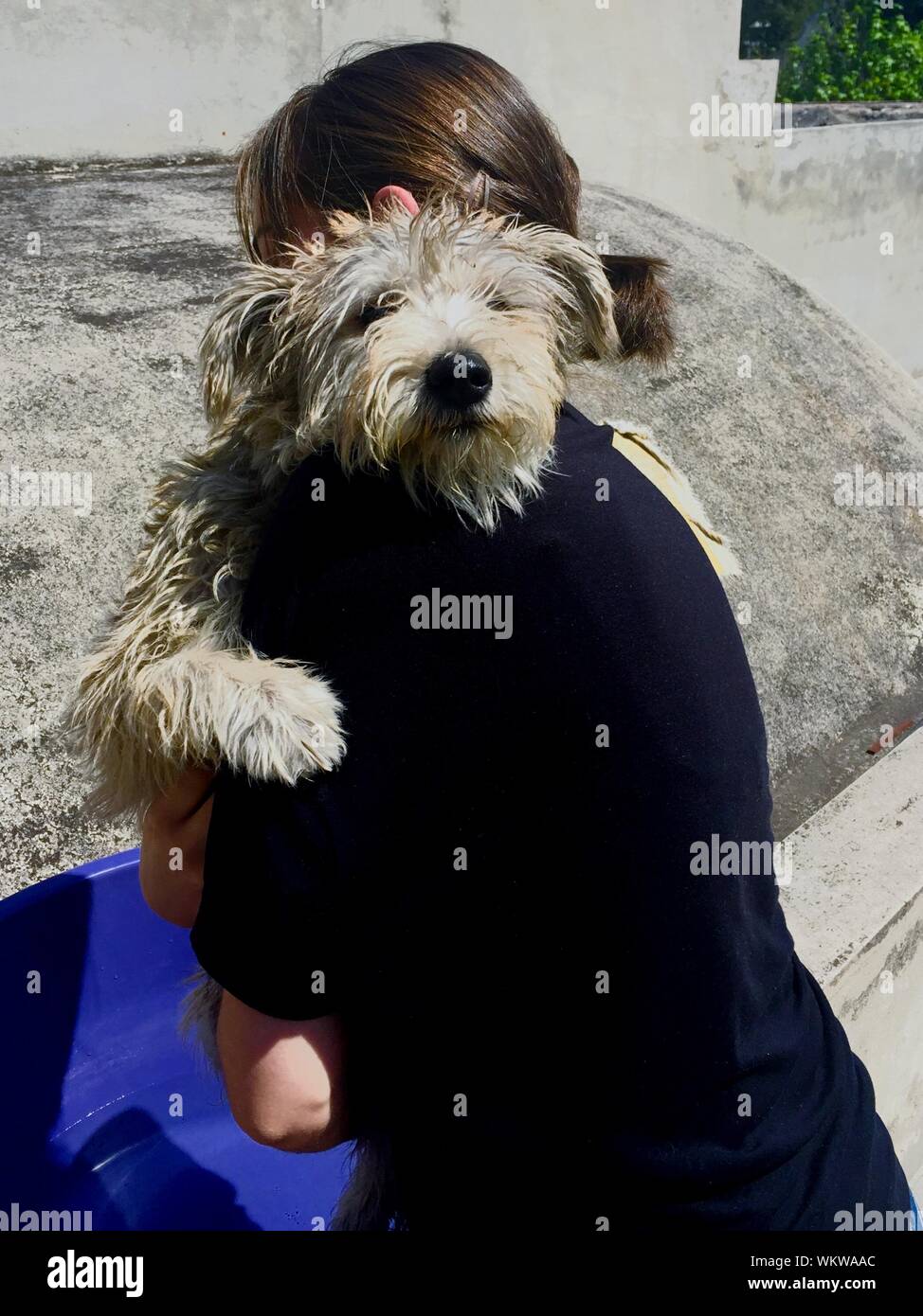 Woman carrying dog hi-res stock photography and images - Alamy