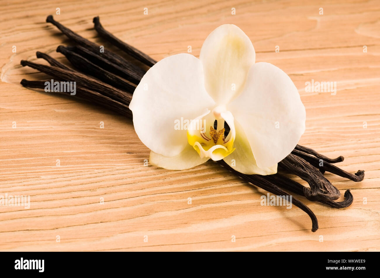 Vanilla pods and flower Stock Photo - Alamy
