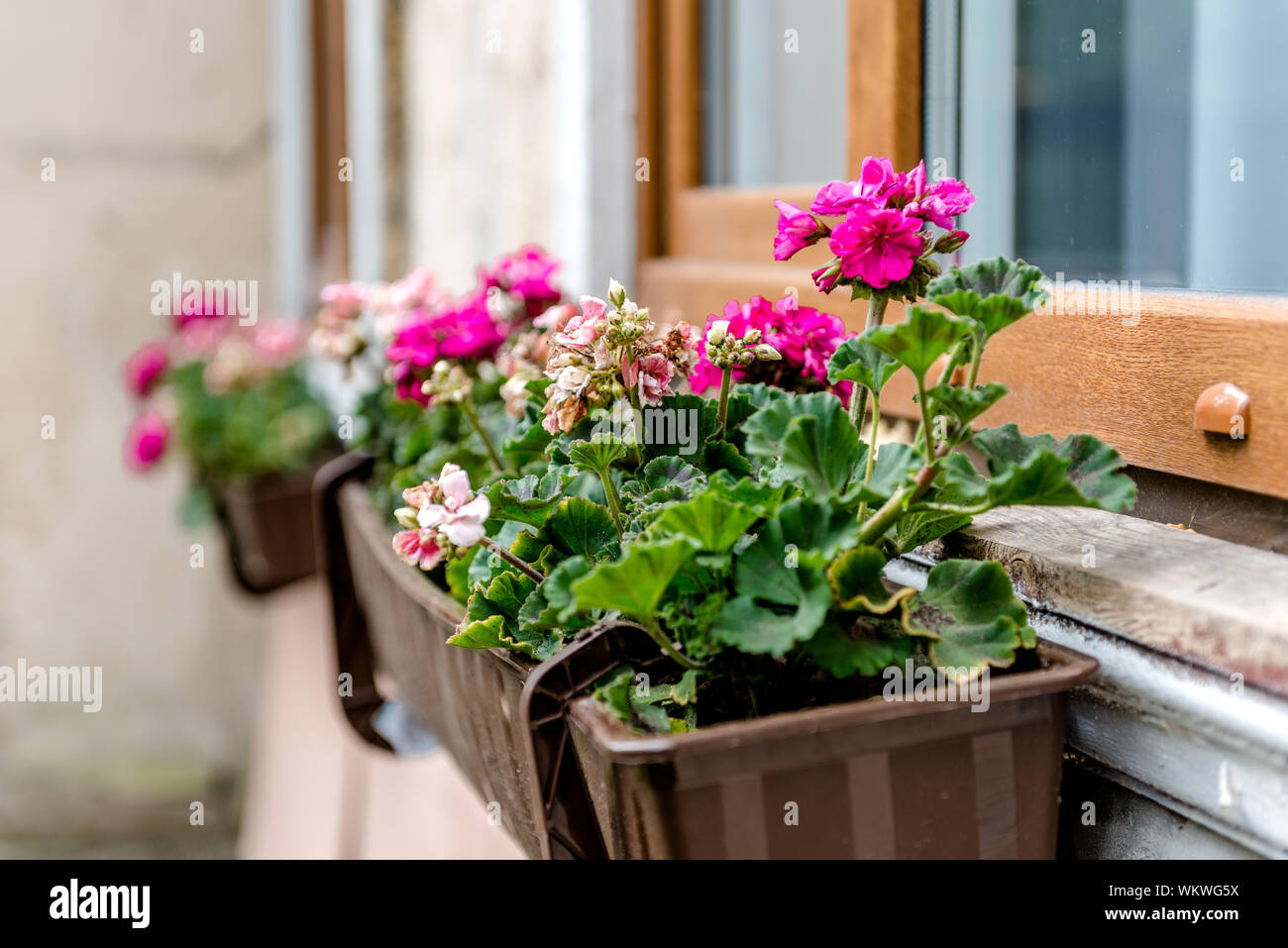 Box balcony hi-res stock photography and images - Alamy