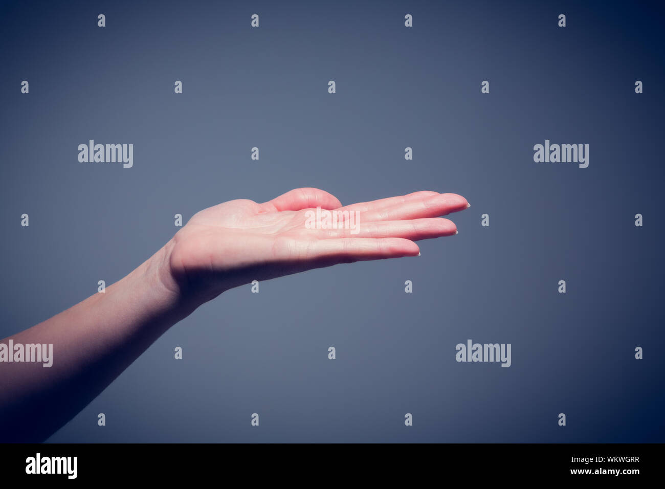 Female hand being held out on blue background Stock Photo - Alamy