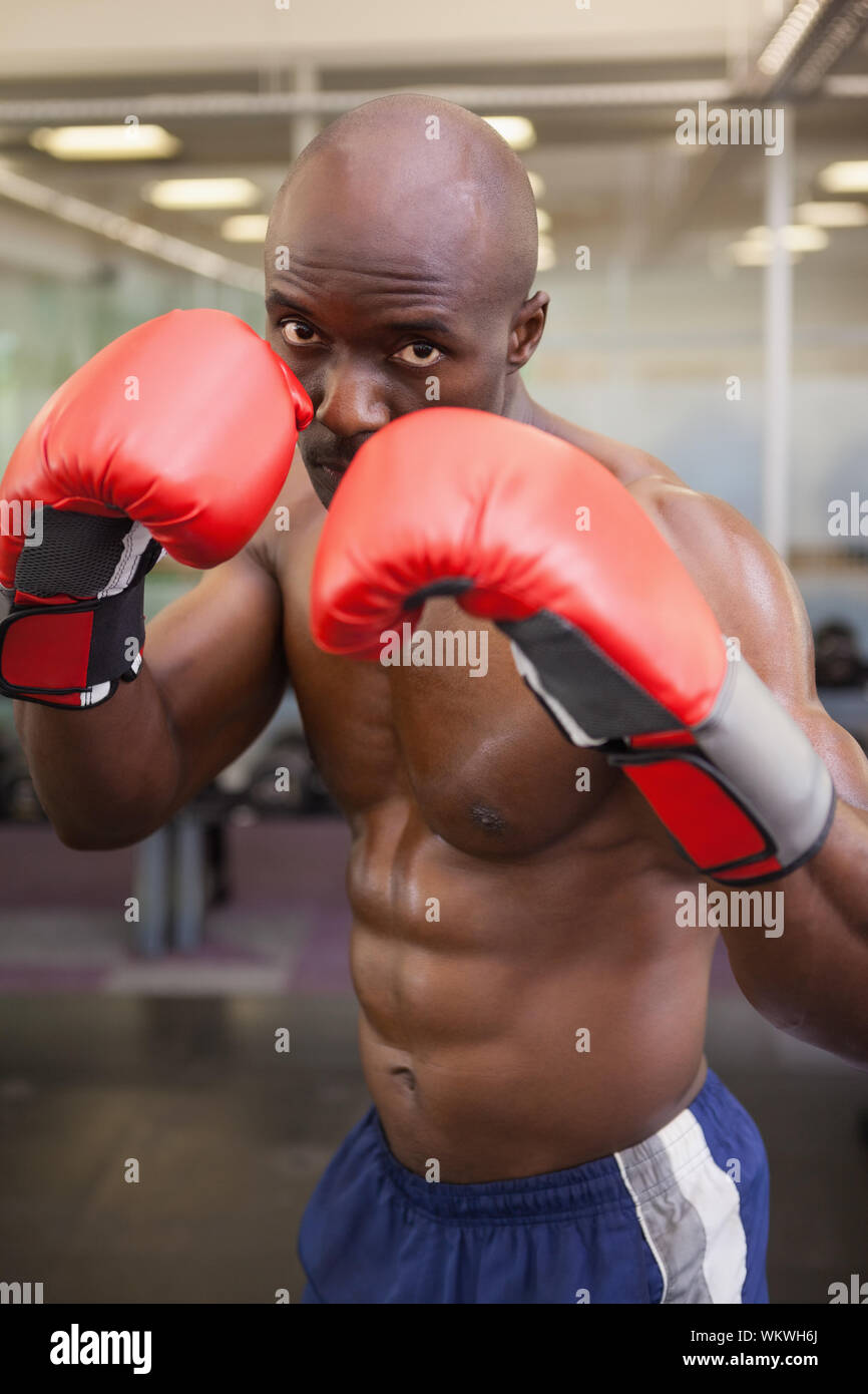 Portrait of a shirtless muscular boxer in defensive stance in health ...