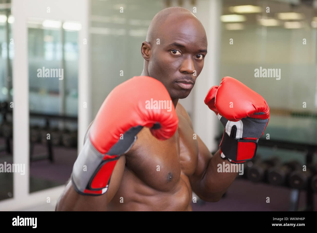 Portrait of a shirtless muscular boxer in defensive stance in health ...