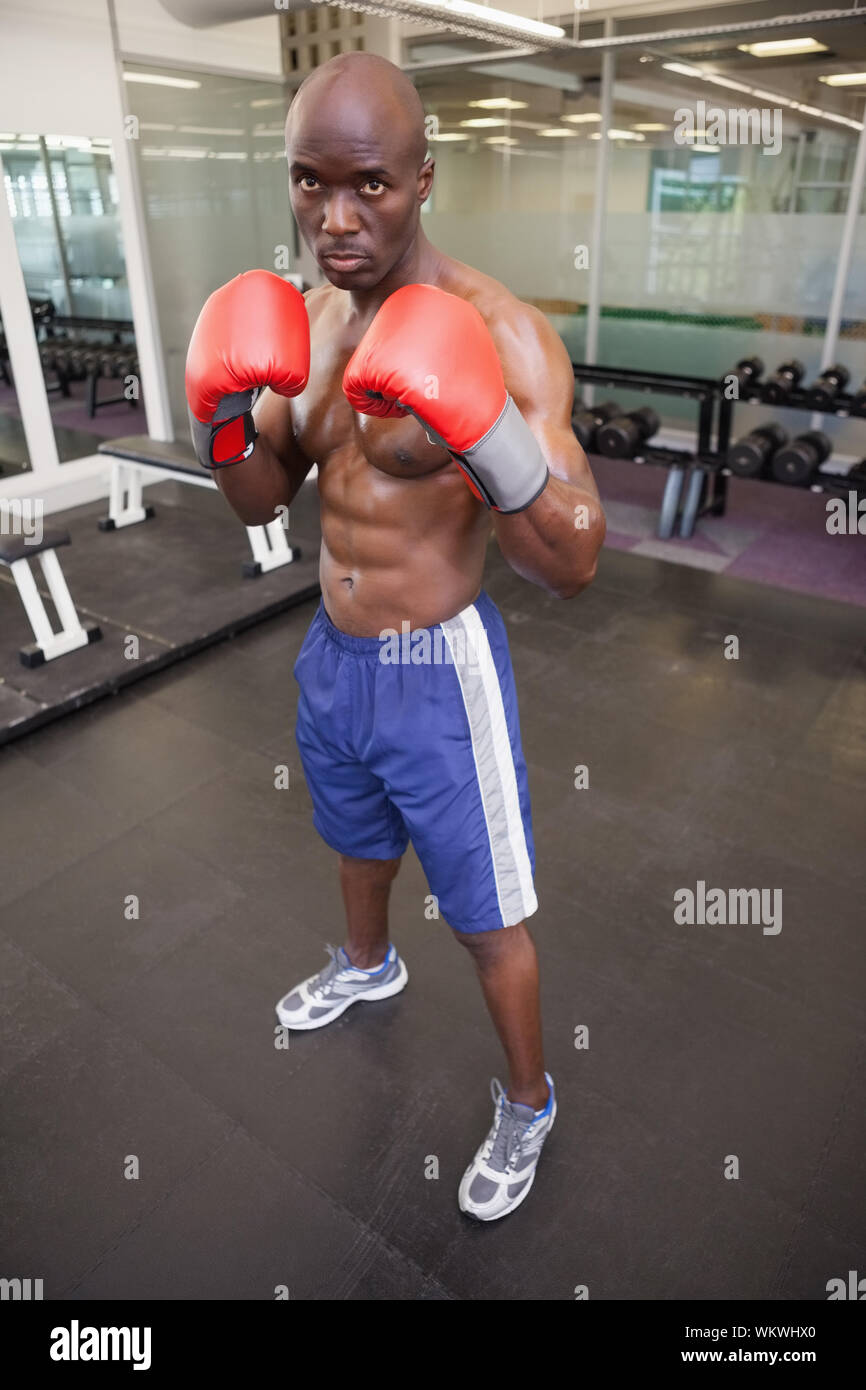 Portrait of a shirtless muscular boxer in defensive stance in health ...