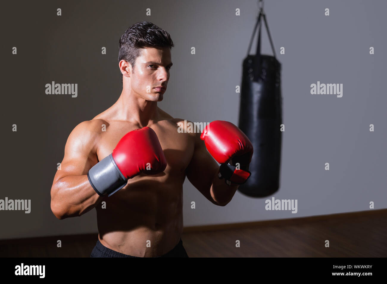 Portrait of a shirtless muscular boxer in defensive stance in health ...
