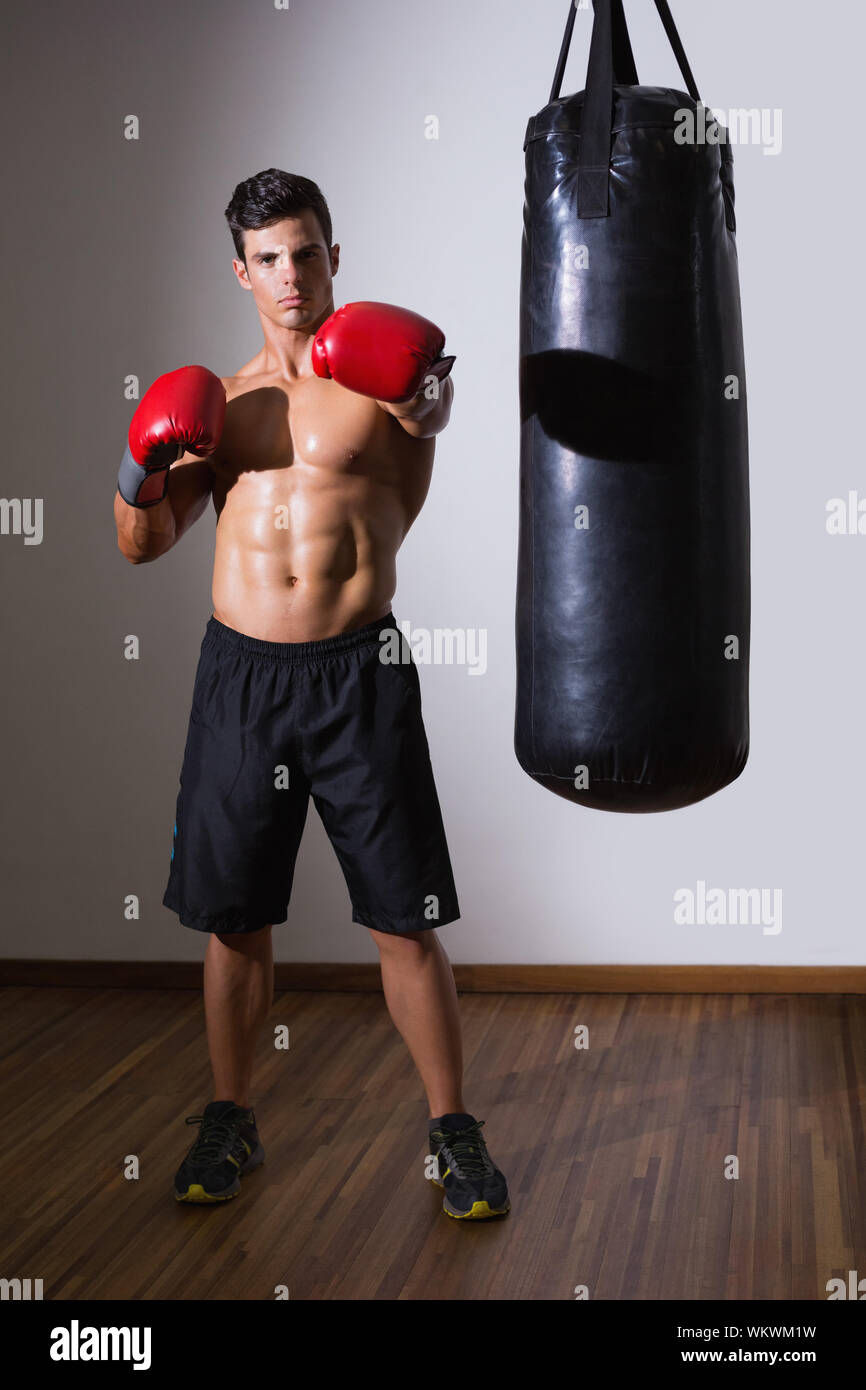 Full length of a shirtless muscular boxer with punching bag in gym ...