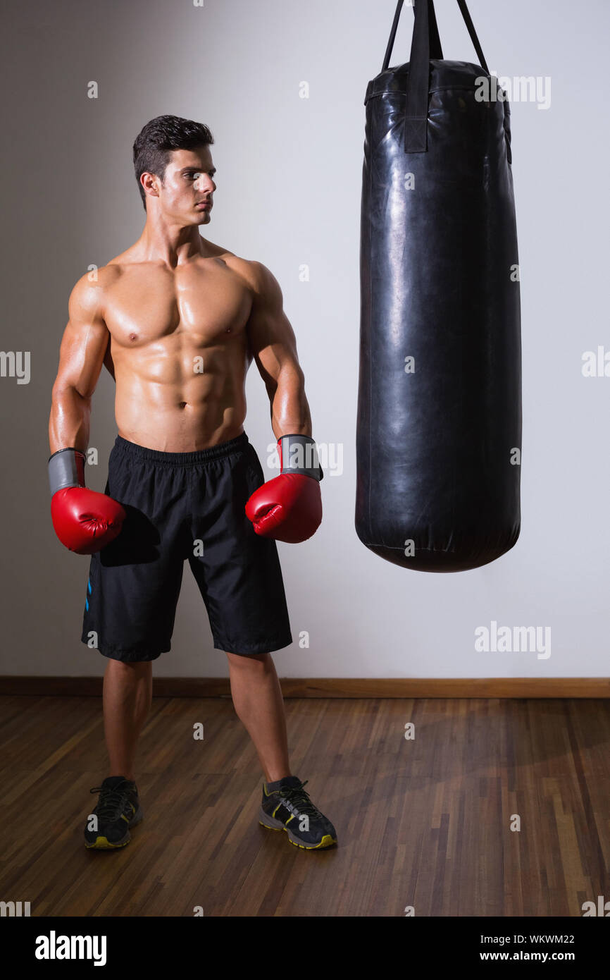 Full length of a shirtless muscular boxer with punching bag in gym ...