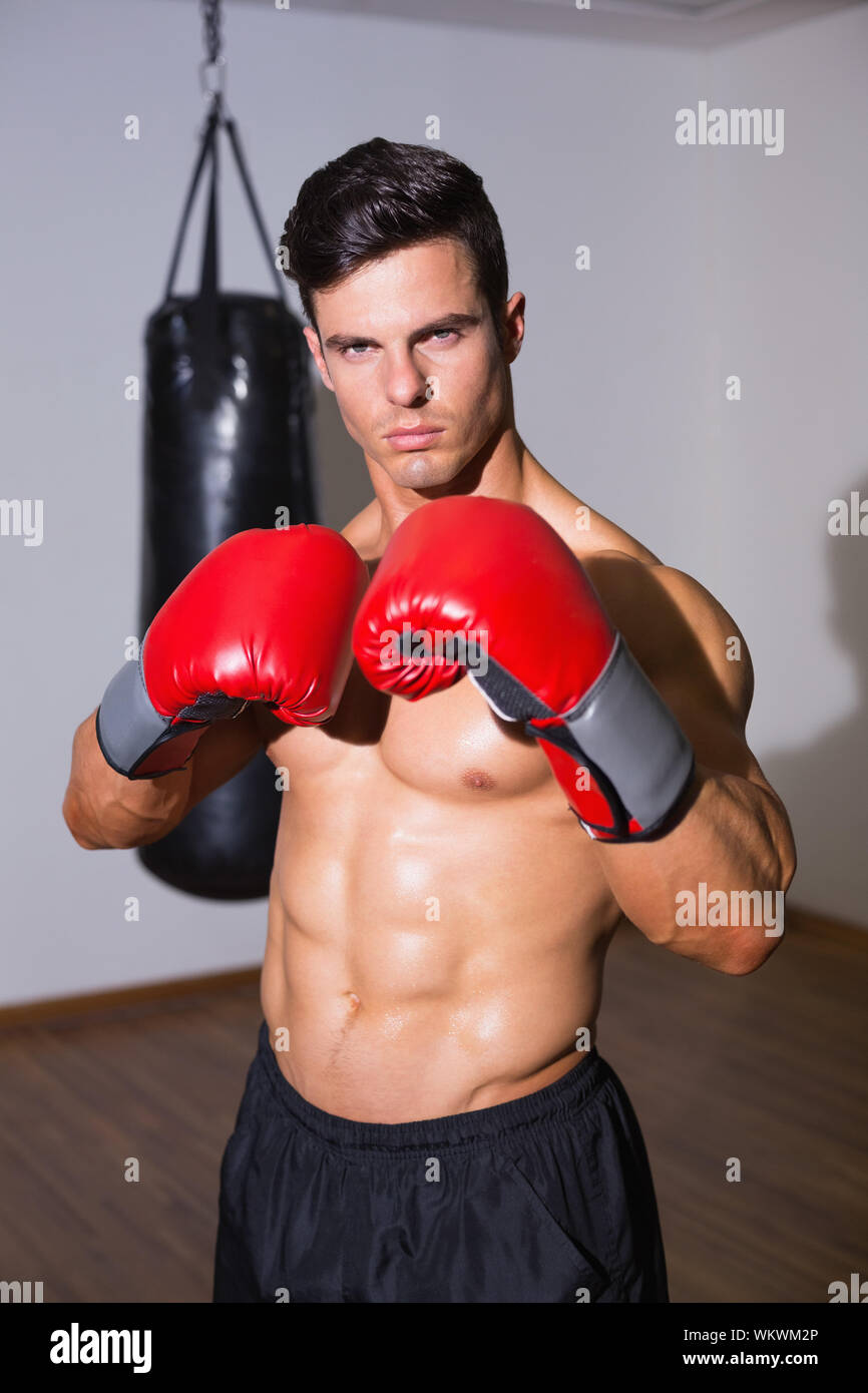 Portrait of a shirtless muscular boxer with punching bag in gym Stock ...