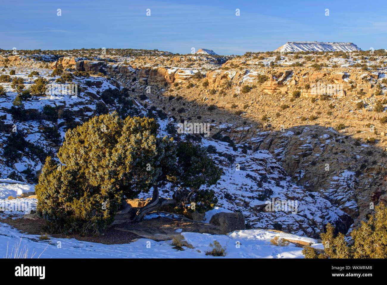 San Rafael Reef, I70 Viewpoint, Utah, USA Stock Photo - Alamy