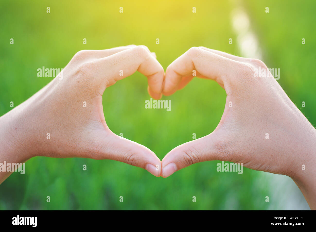Hands making shape heart hi-res stock photography and images - Alamy