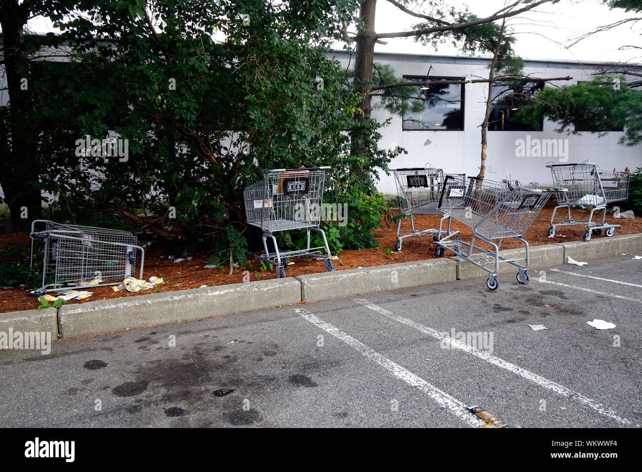 Abandoned shopping carts at a parking lot Stock Photo - Alamy