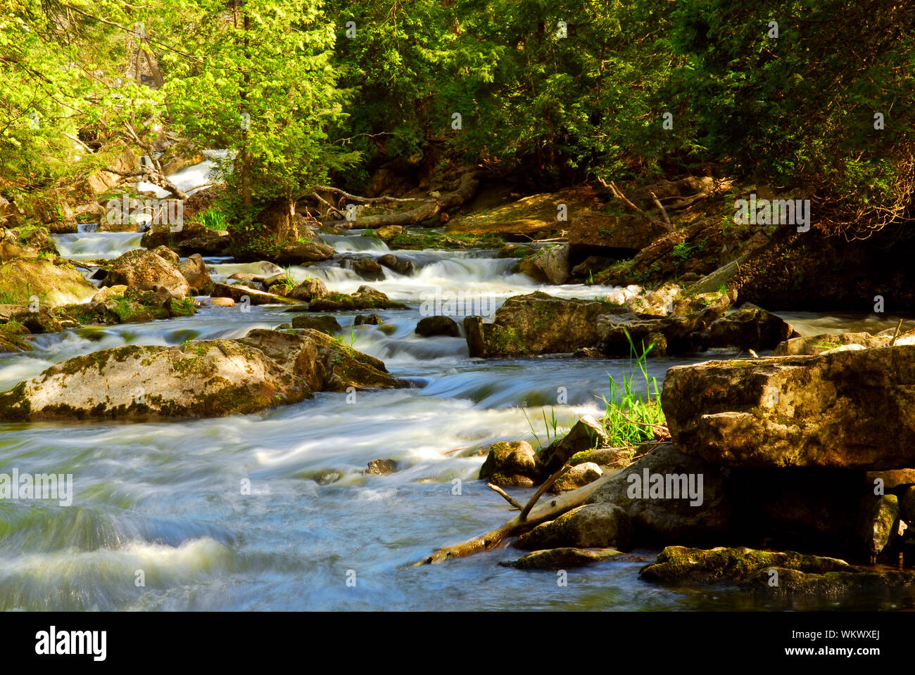Water rushing among rocks in river rapids in Ontario Canada Stock Photo ...