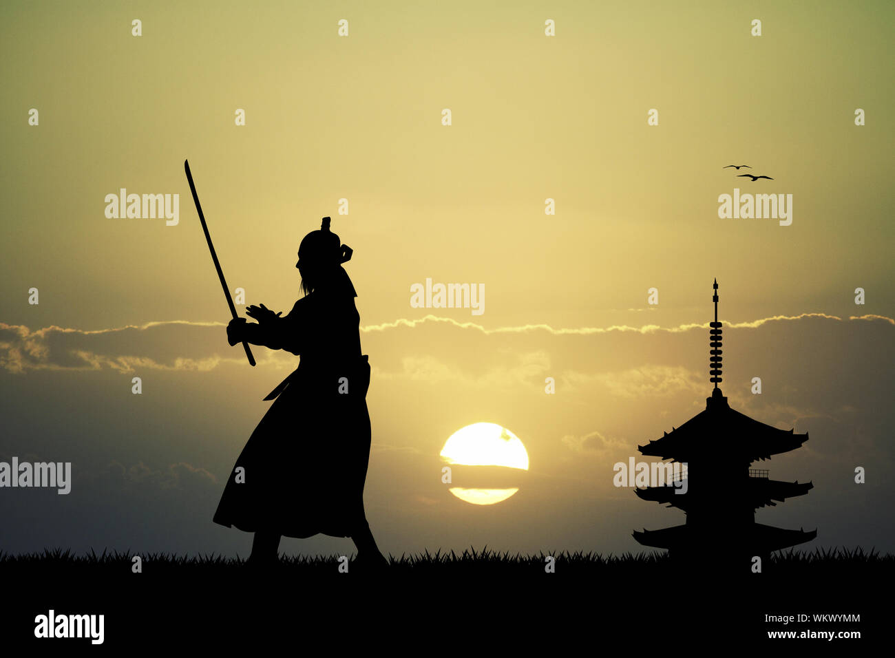 Ninja stealth warrior hi-res stock photography and images - Alamy