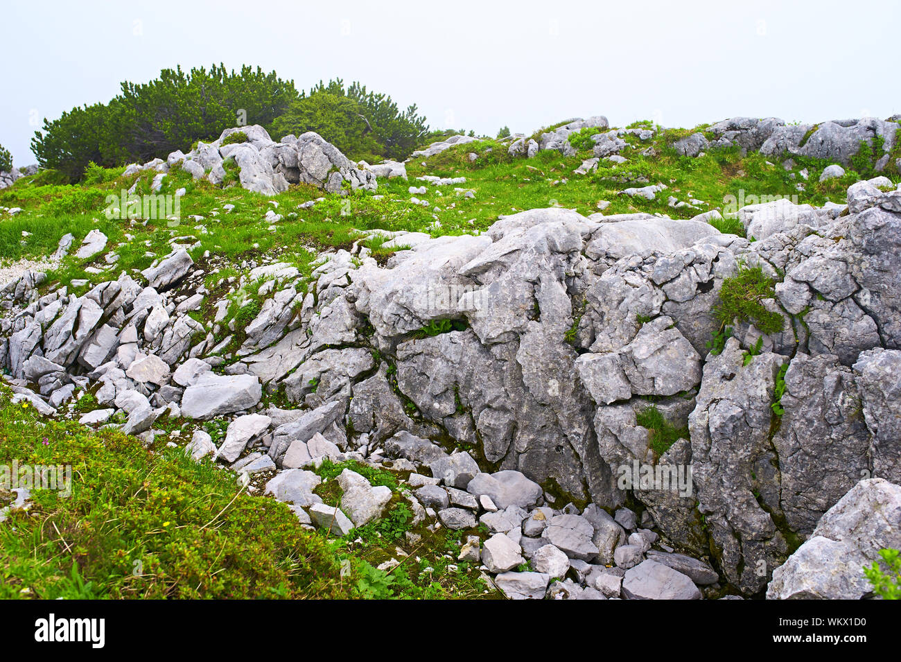 Bavarian landscape at Alps with rocks Stock Photo - Alamy