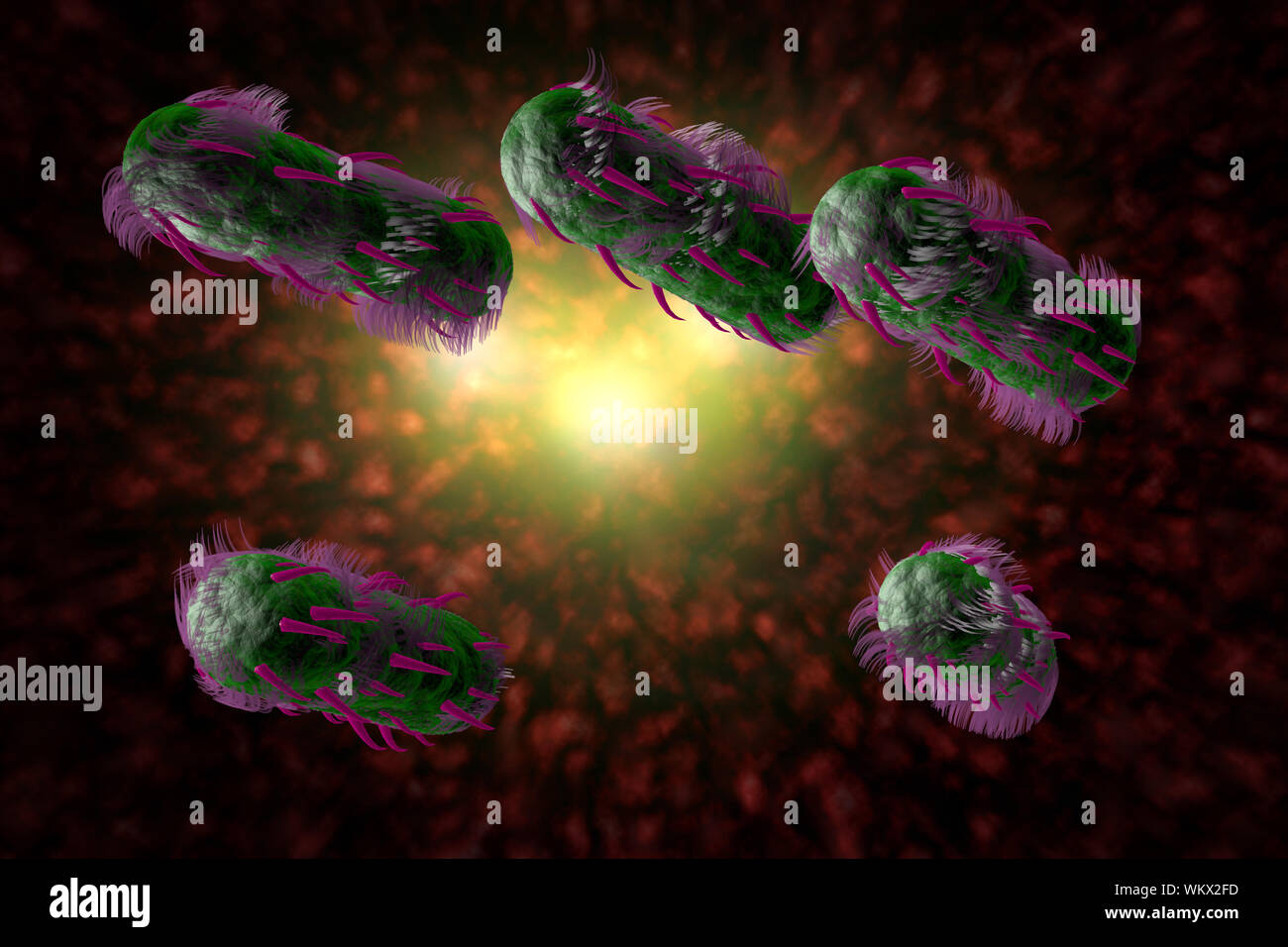 Escherichia coli also known as Ecoli bacteria in health science ...