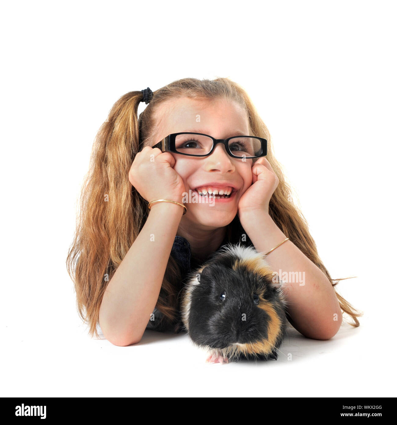 portrait of a laughing little girl and guinea pig in front of white ...