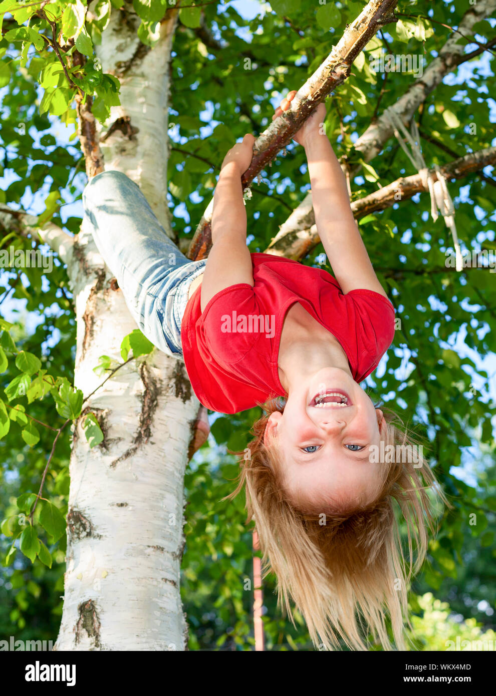 Little girl having fun playing on birch tree Stock Photo - Alamy