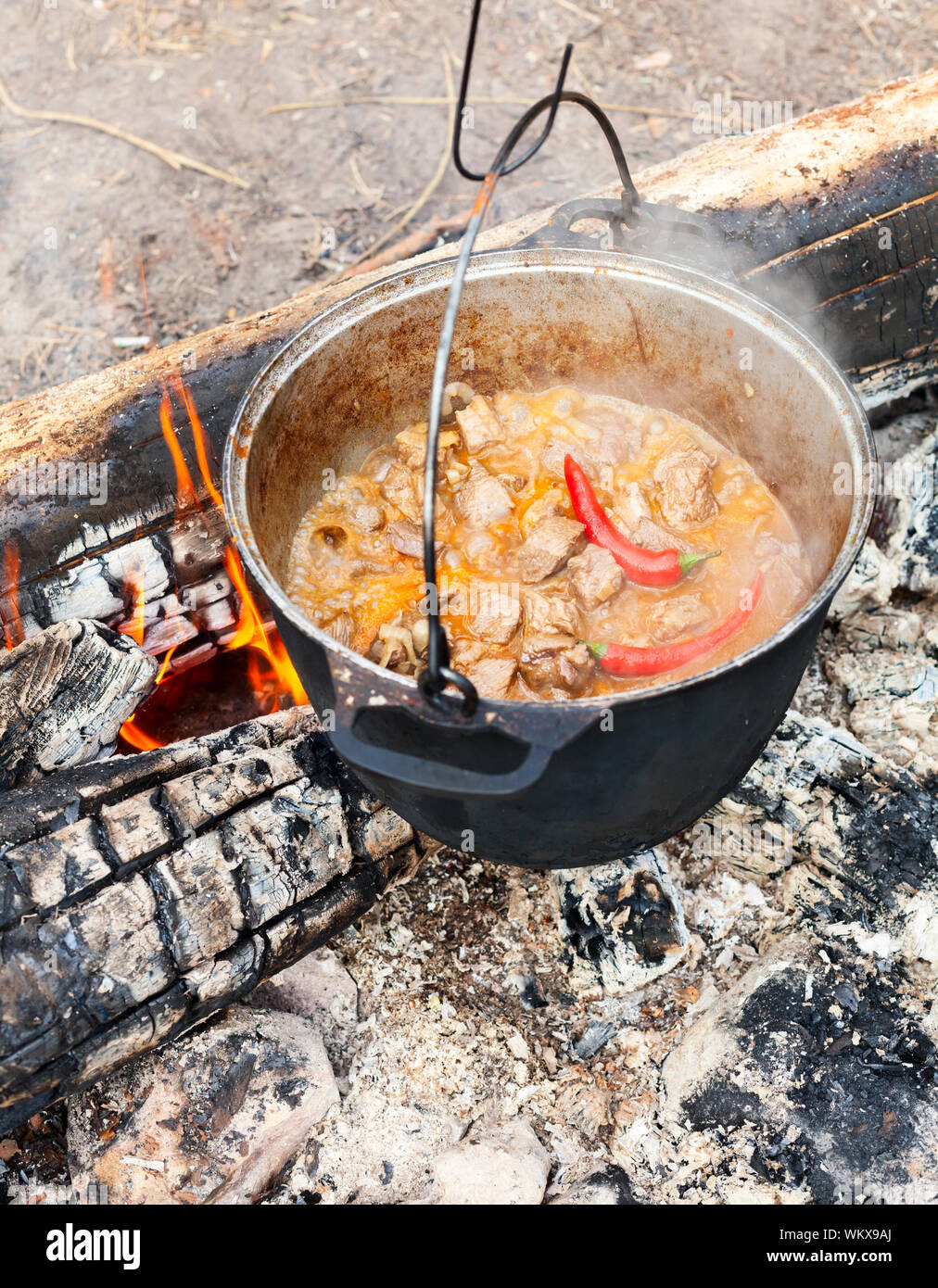 Cooking Goulash soup in cauldron on burning campfire Stock Photo - Alamy