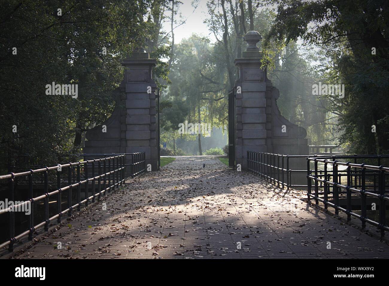Railing railings hi-res stock photography and images - Alamy