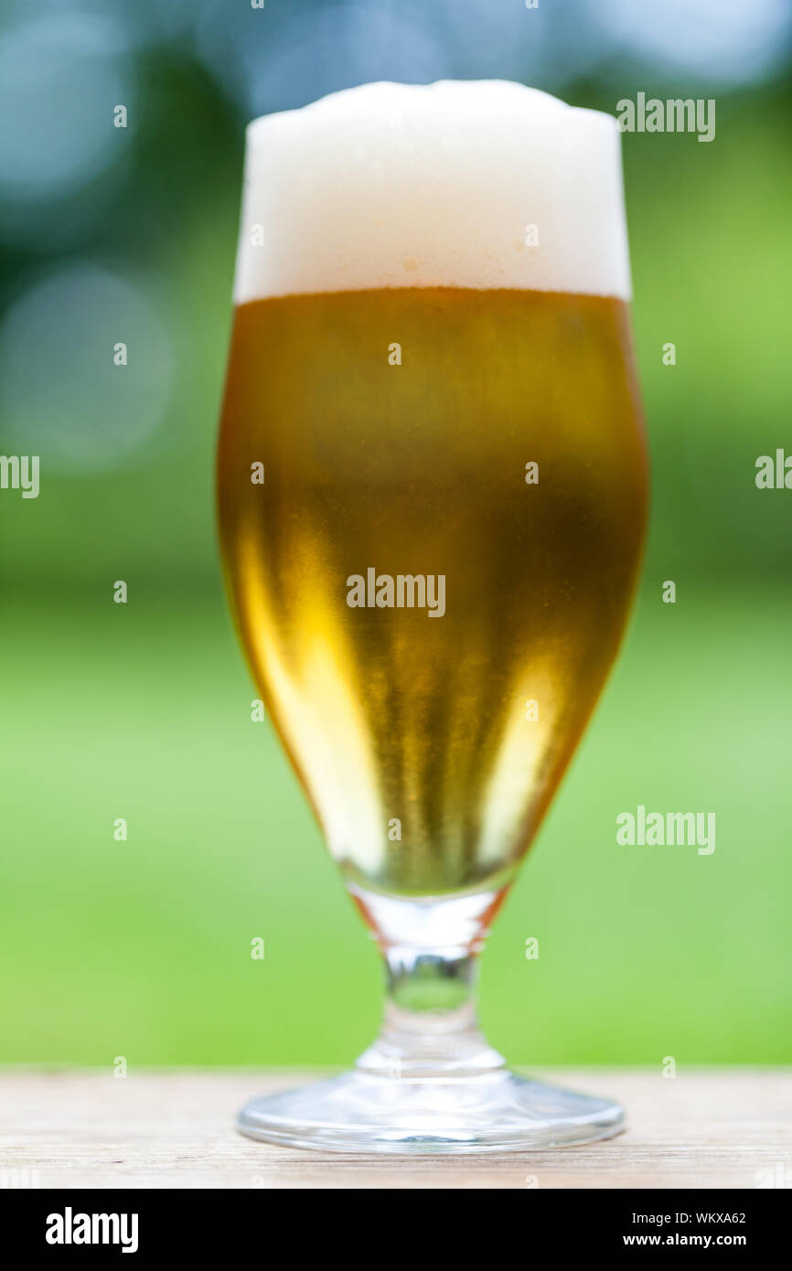 Elegant glass of cold refreshing beer Stock Photo - Alamy