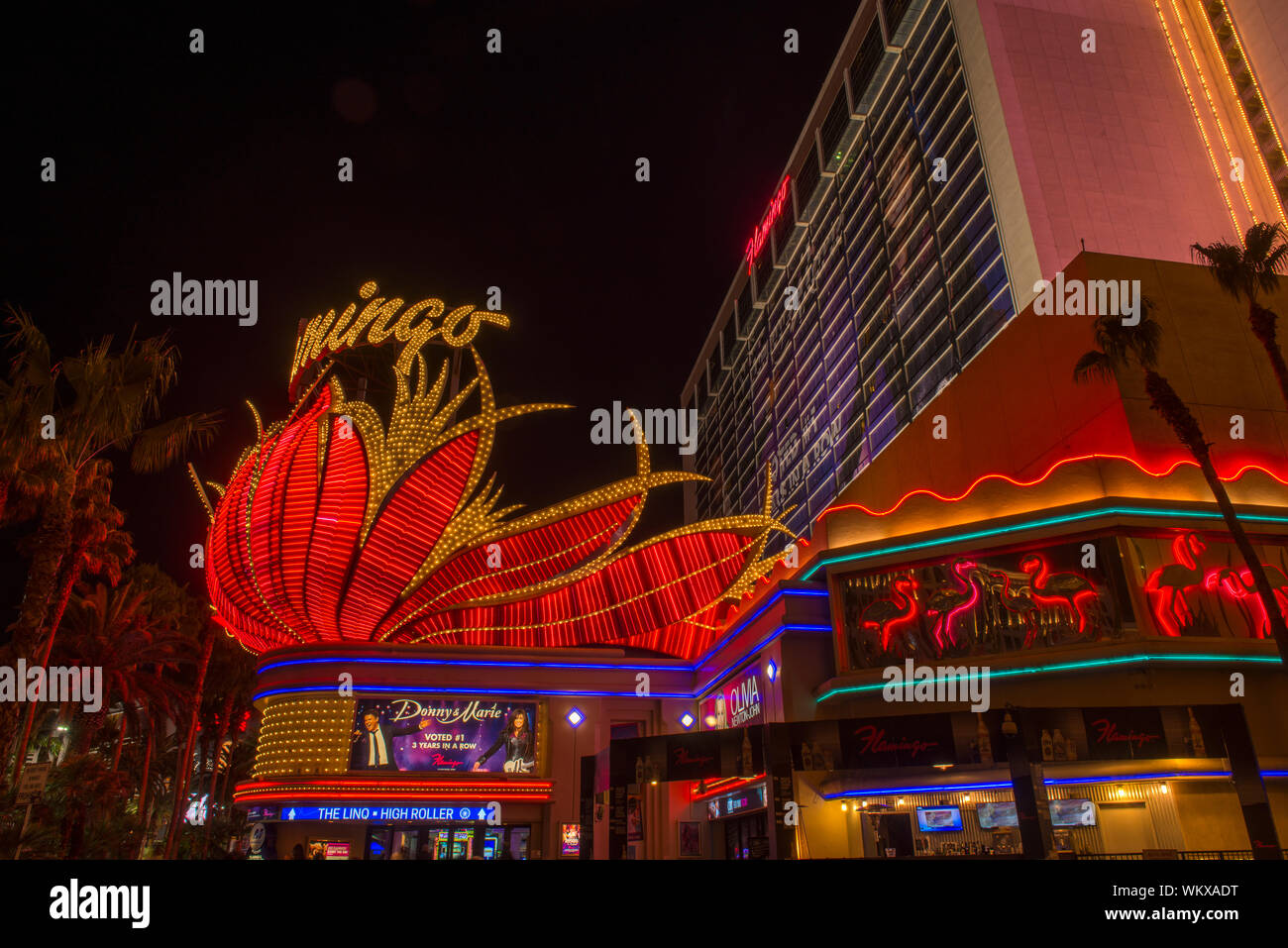 Flamingo hotel sign t night, Las Vegas, Nevada, USA Stock Photo - Alamy