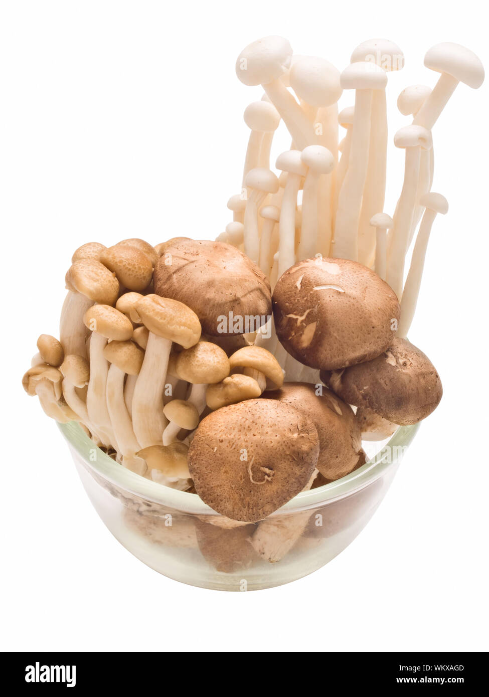 close up of assorted mushroom isolated Stock Photo - Alamy