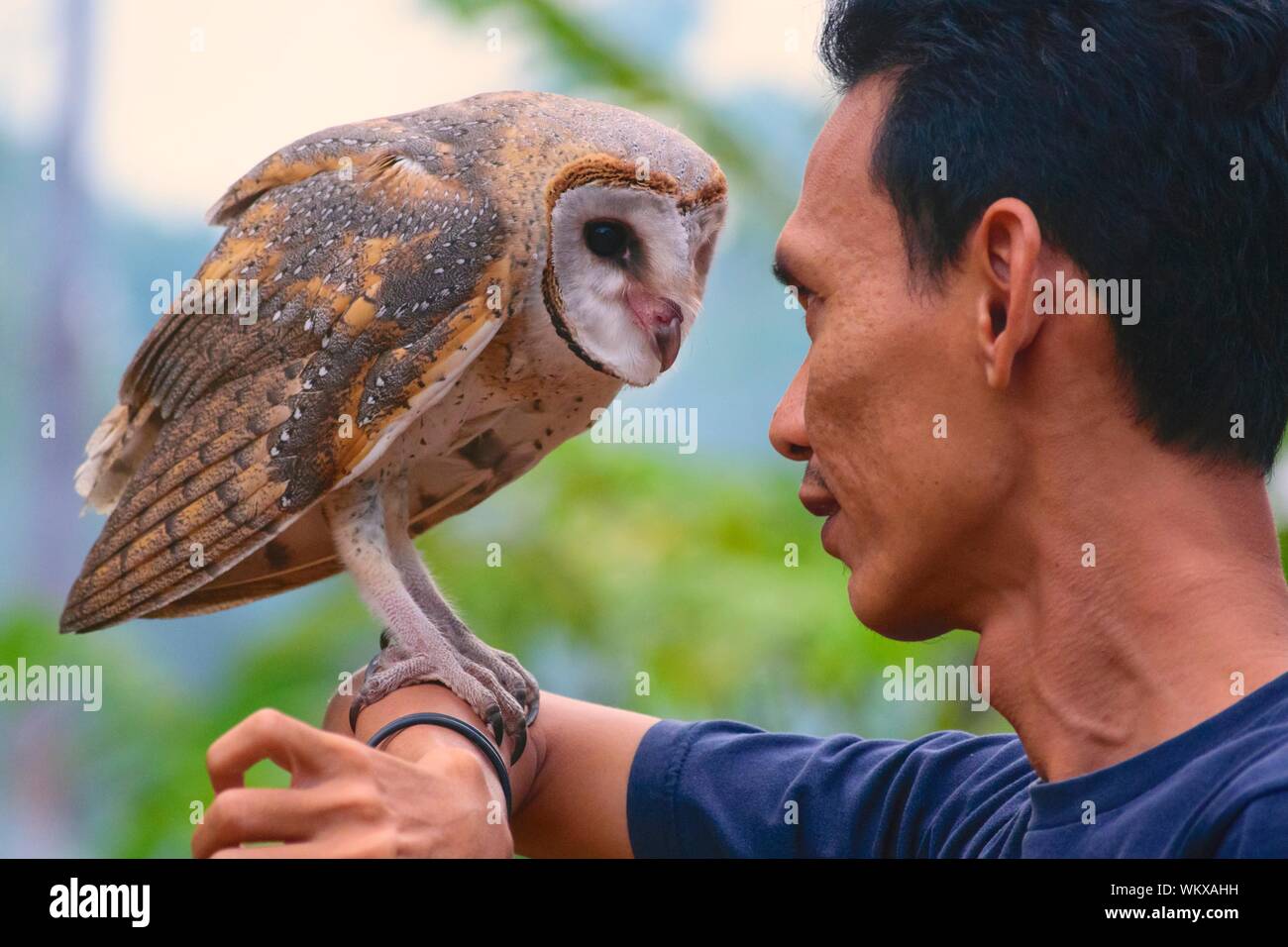 Man With Owl High Resolution Stock Photography and Images - Alamy