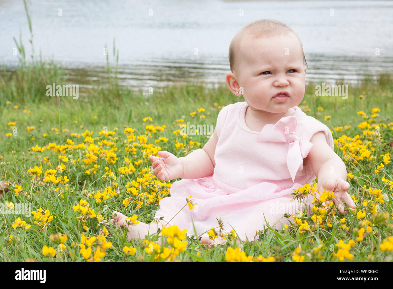 Sweet baby girl in a field of buttercups Stock Photo - Alamy