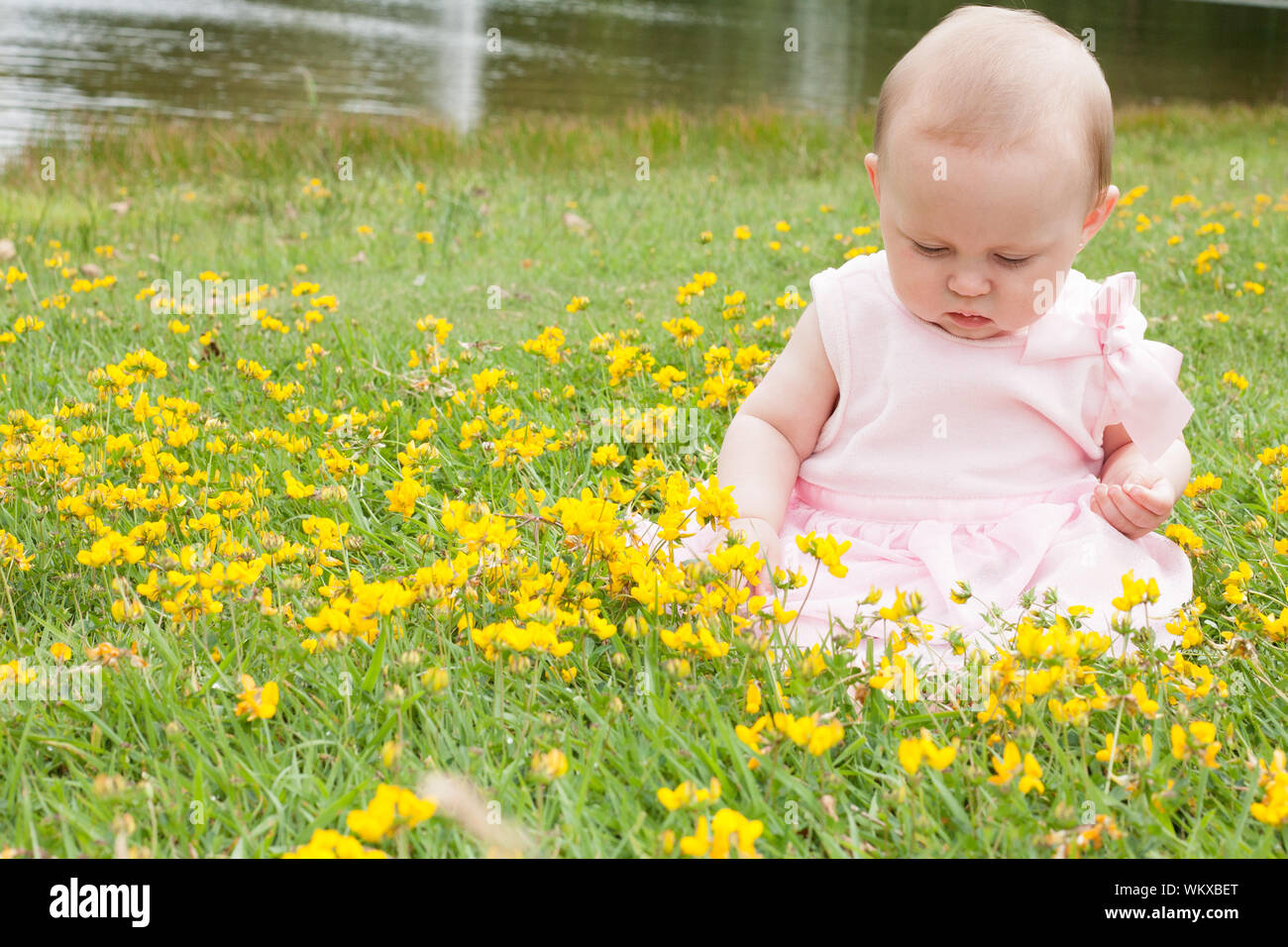 baby and buttercups Stock Photo - Alamy
