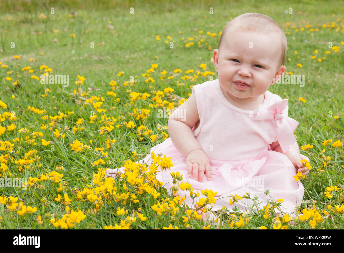 Sweet baby girl in a field of buttercups Stock Photo - Alamy
