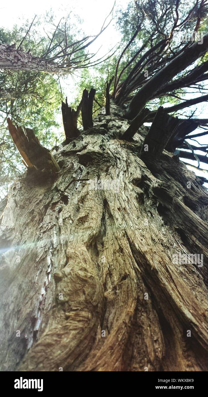 Rough angle hi-res stock photography and images - Alamy