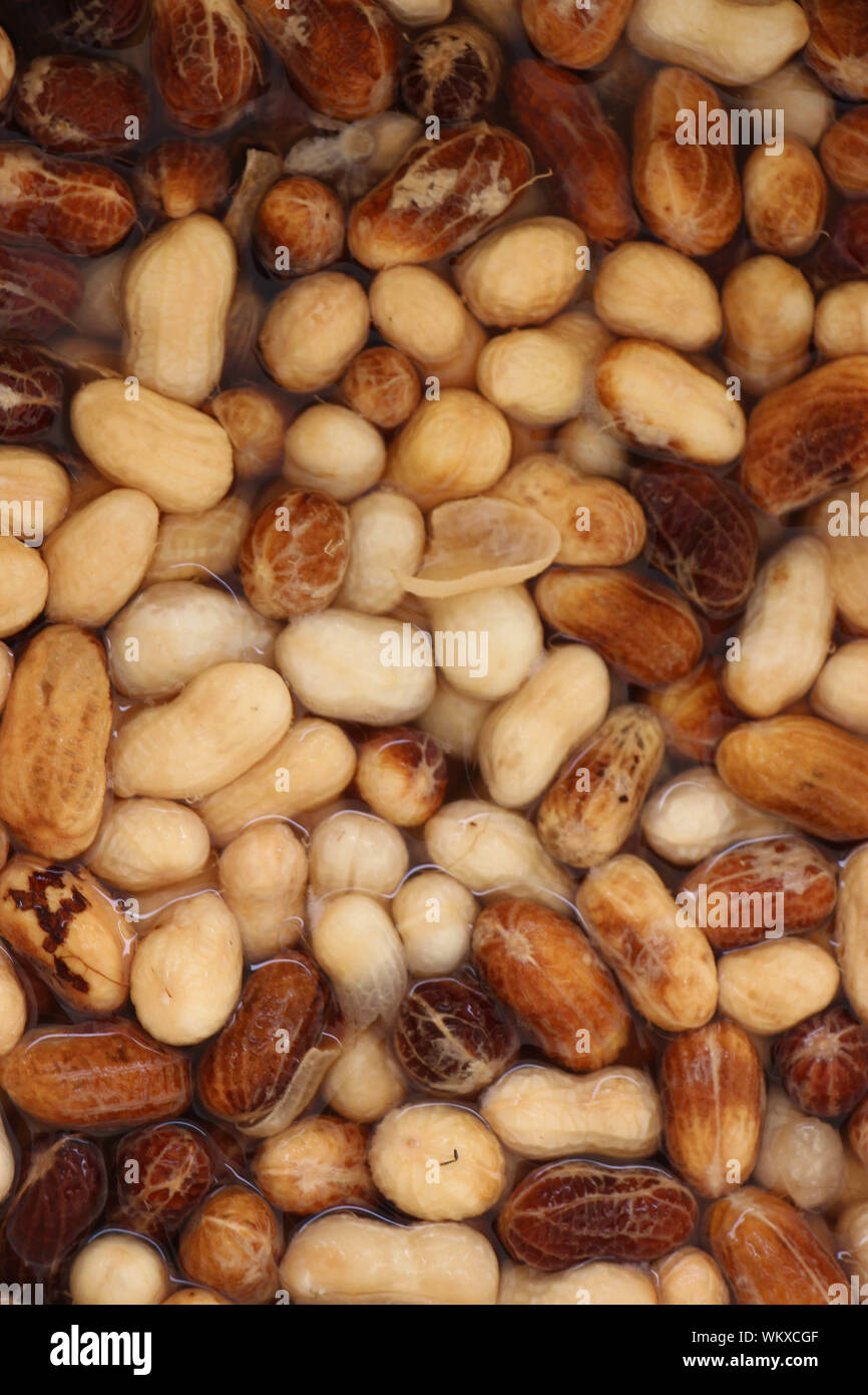 Peanut in water hi-res stock photography and images - Alamy