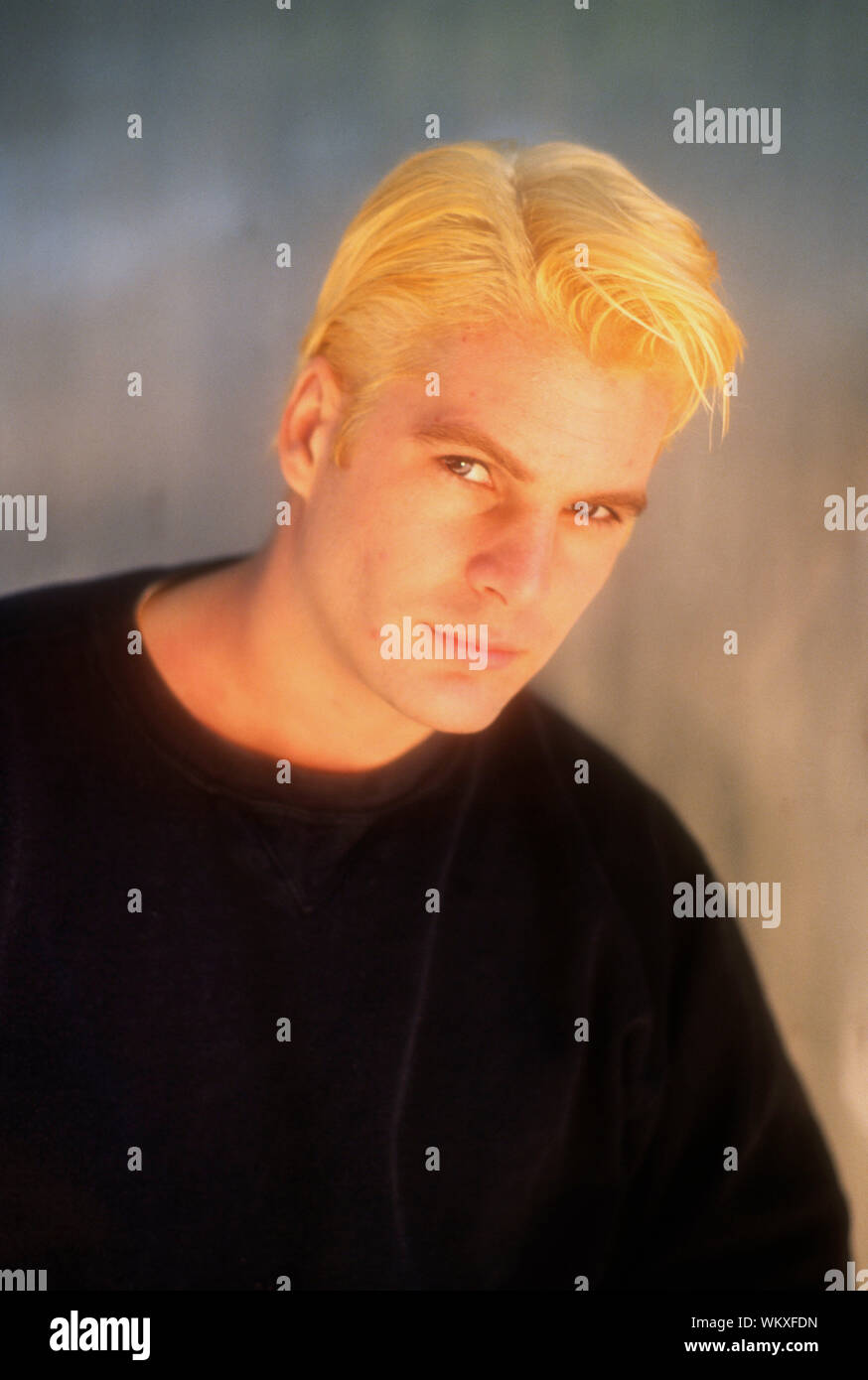 Los Angeles, California, USA 22nd November 1994 (Exclusive) Actor Thom ...