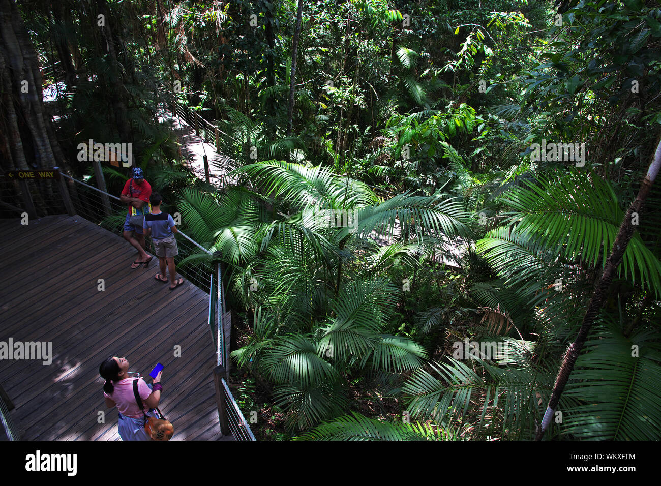 Kuranda cable car hi-res stock photography and images - Alamy