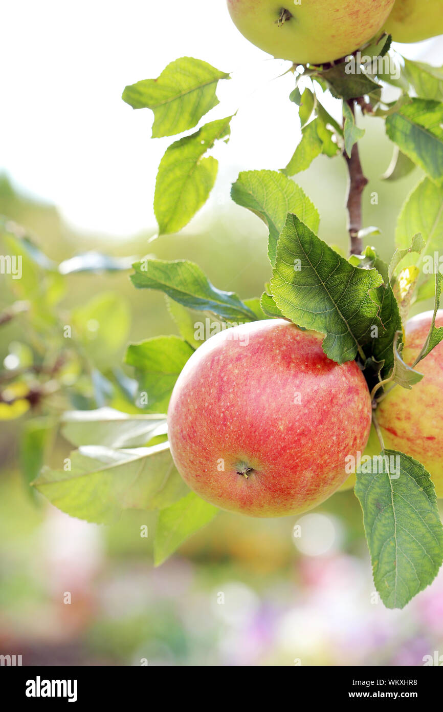 A702 hi-res stock photography and images - Alamy