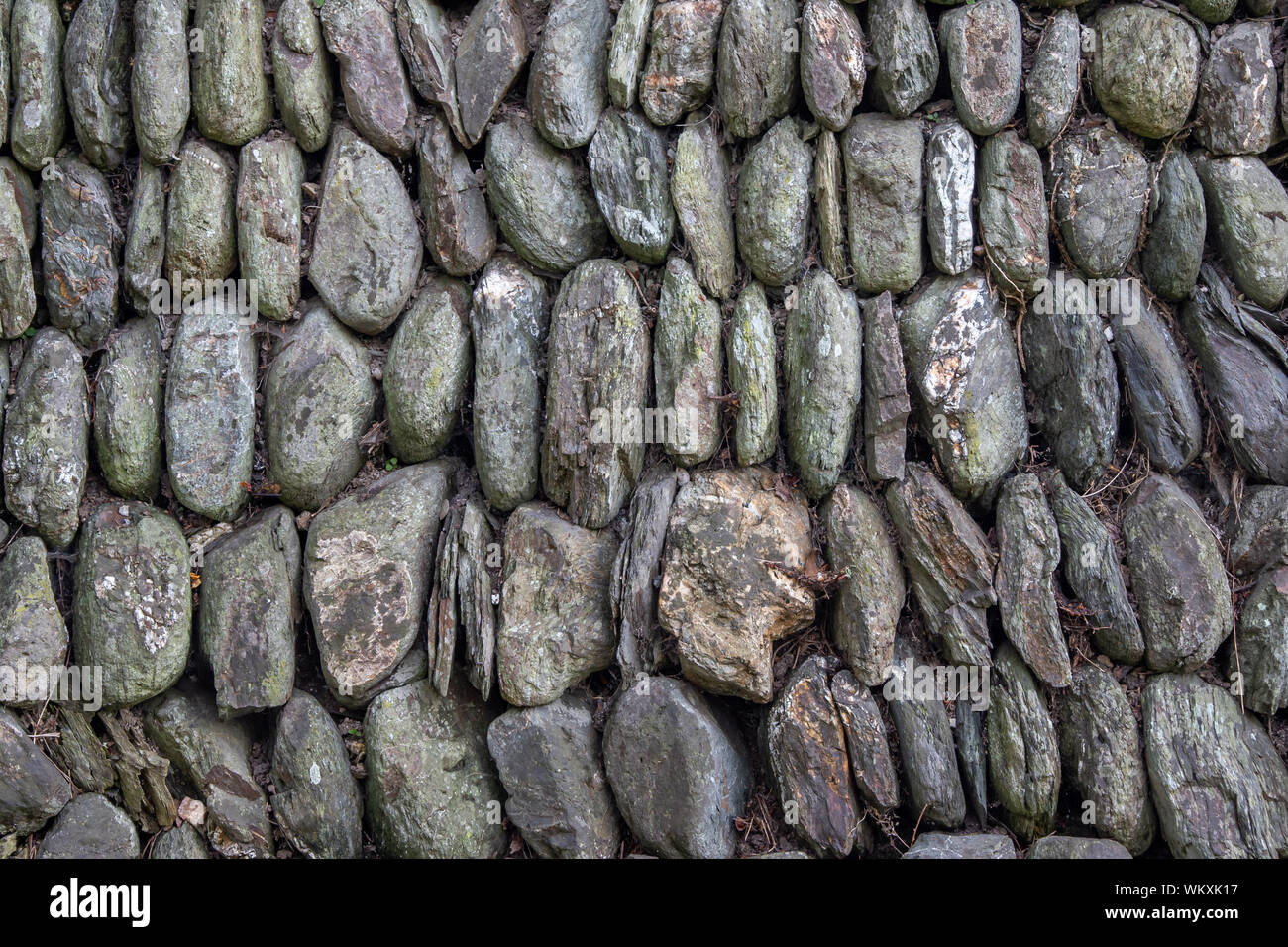 Historic dry stone wall built in traditional Cornish style in England ...